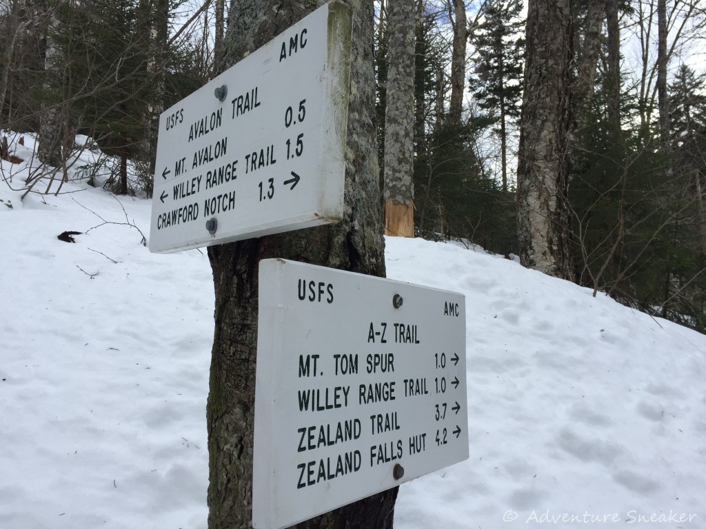 Mount Tom & Mount Field Hike – NH 4000 Footers – Adventure Sneaker