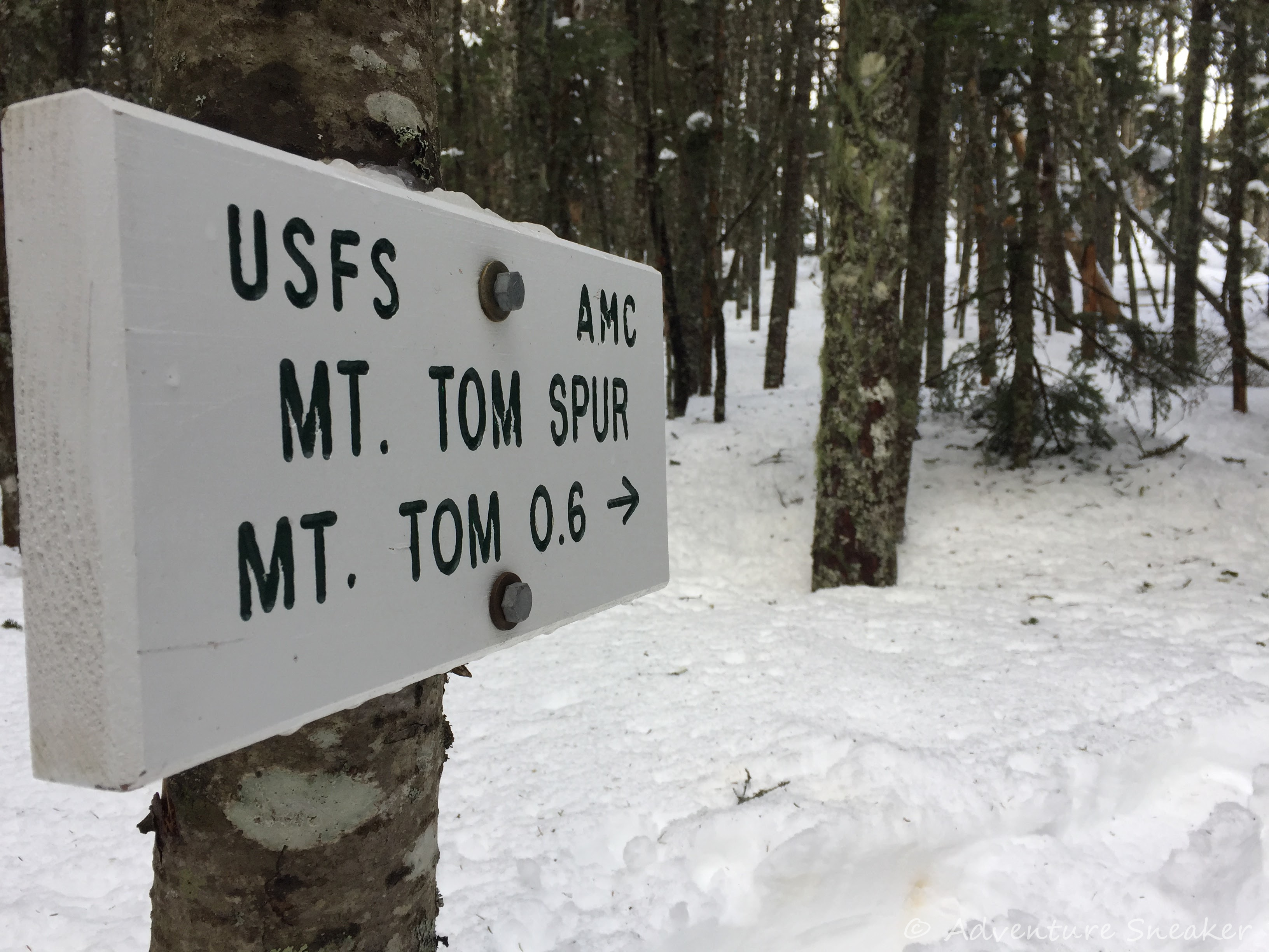 Mount Tom & Mount Field Hike – NH 4000 Footers – Adventure Sneaker