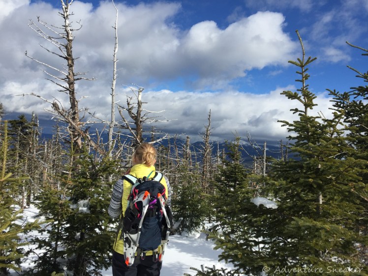 Mount Tom & Mount Field Hike – NH 4000 Footers – Adventure Sneaker