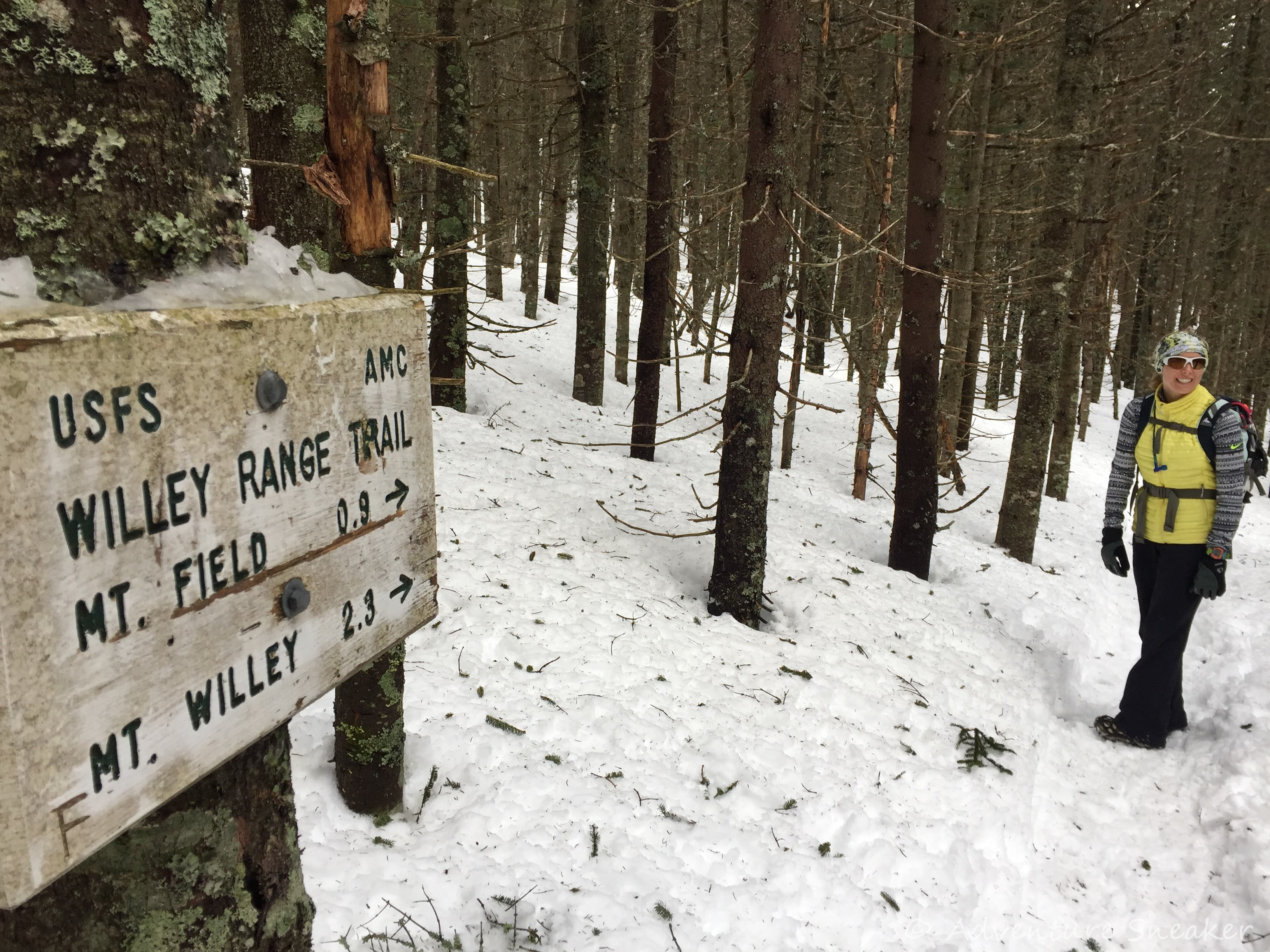 Mount Tom & Mount Field Hike – NH 4000 Footers – Adventure Sneaker